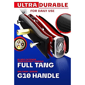 Dalstrong Serrated Offset Bread Knife - 8 inch - Shogun Series - Deli Knife - Damascus - AUS-10V Japanese Super Steel - Bread Slicer Cutter - Slicing Knife - Vacuum Treated - G10 Handle - Sheath