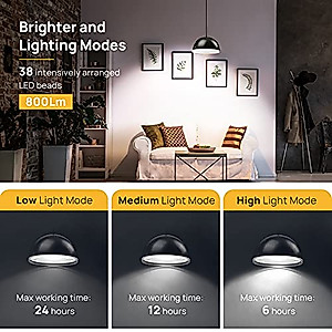 Linkind Comet 38-LEDs Solar Pendant Light, Outdoor Solar Powered LED Shed Light Barn Lights with 5M Cord, 6500K Daylight White, Dusk-to-Dawn IP67 Waterproof for Shed Barn Garden Yard