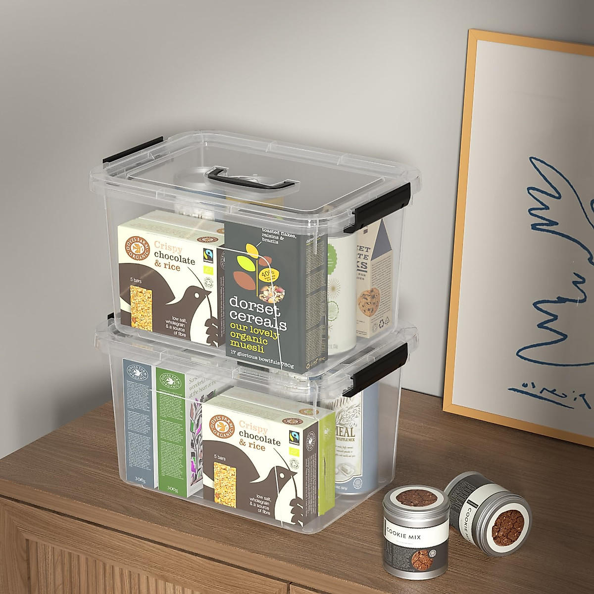 Jandson 4 Packs Plastic Storage Box with Handle, 10 L Clear Lidded Organizer Bin