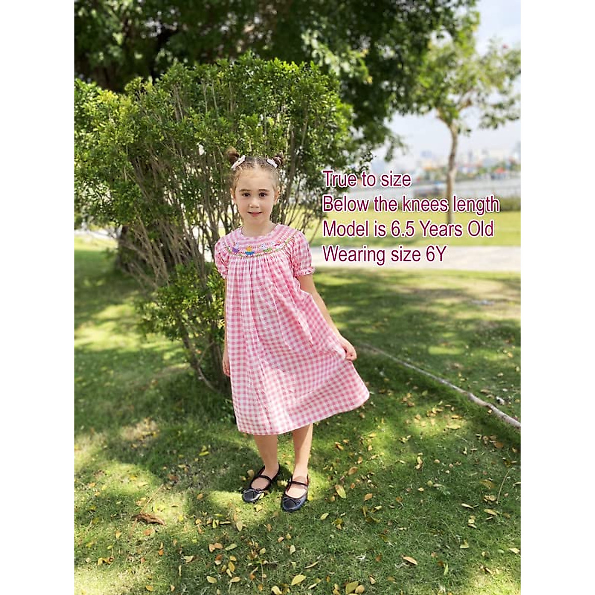 Baby Infant Girl Easter Bunny Parade Egg Hunting Hand Smocked Bishop Dress Pink Gingham 12 Months