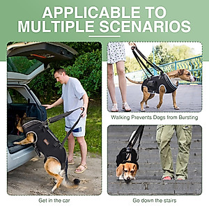 TIPOOP Easy to Wear Support for Dogs - Spinal Stability and Pain Relief