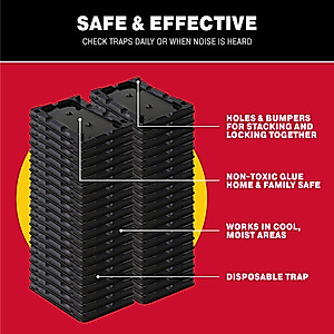 Catchmaster Mouse & Insect Glue Traps 40-Pk, Adhesive Rodent & Bug Catcher, Pre-Scented Mouse Traps Indoor for Home, Sticky Glue Traps for Mice and Insects, Pet Safe Pest Control for House & Garage