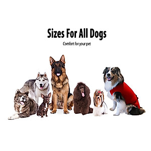 Surgi~Snuggly Healing Skin Treatment Dermatology Veterinary Onesie (Large, Solid Red)