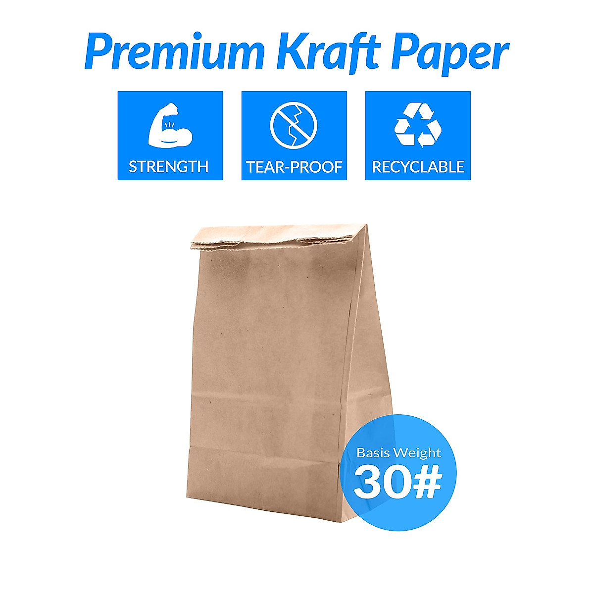 Reli. Brown Paper Bags | 500 Count | Paper Lunch Bags Ideal for Small Lunches and Crafts | Perfect for Sandwiches and Snacks