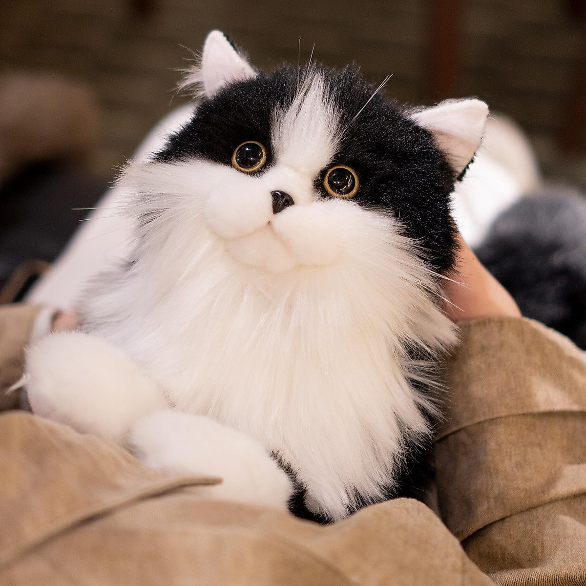 Chongker Stuffed Animals Plush - Realistic Animals Plush, Lifelike Toy, Ragdoll Cat