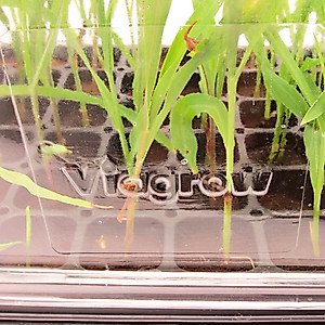 Viagrow VTD300-5 Clear Humidity, Propagation Plastic Tall Dome (5 Pack)