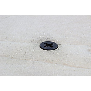 Bolt Dropper 8 x 3/4'' Black Oxide Coated Stainless Flat Head Phillips Wood Screw (100 Pack), 18-8 (304) Stainless Steel Screws Corrosion Resistant Flat Head by Bolt Dropper