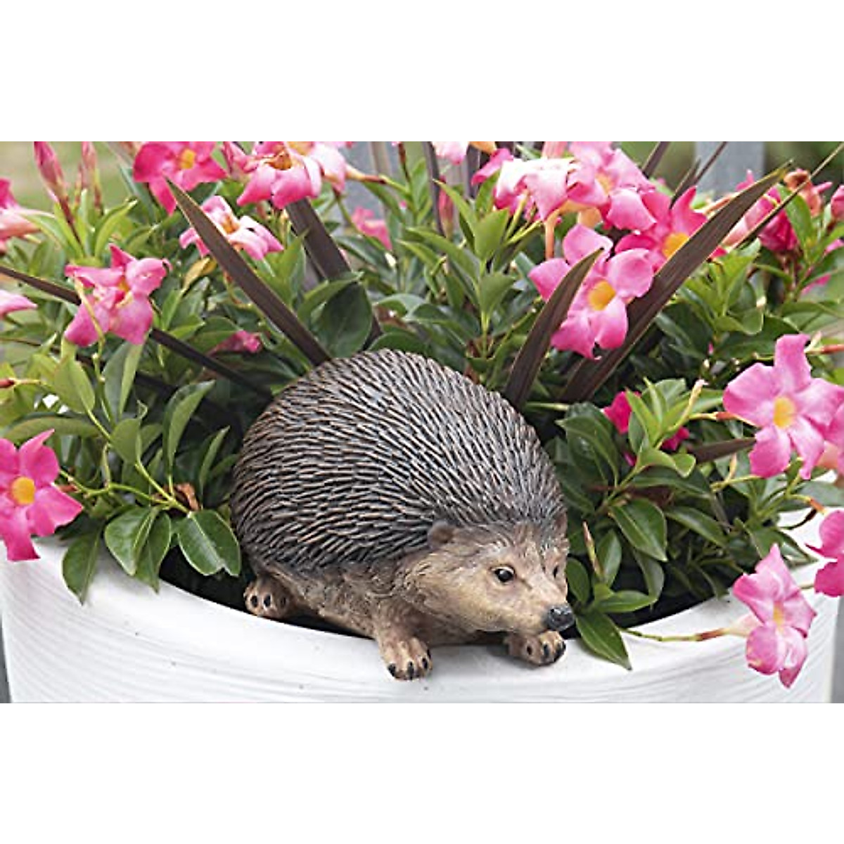 CLEVER GARDEN Hedgehog Garden Statue Outdoor Décor, Resin Figurine Decoration for Lawn, Yard, Patio, Porch, and More