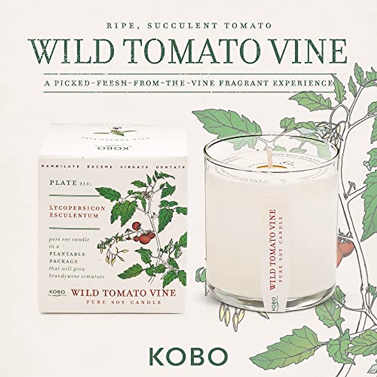 KOBO Wild Tomato Vine Candle with Plantable Box (9 oz) | Plant The Box Collection, 100% Pure Soy Wax Candles | Hand-Poured in USA | Long Lasting 60 Hour Burning Candles | Scented Candles for Home