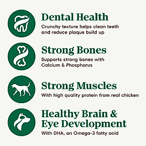 Puppy Dry Dog Food, Chicken and Brown Rice Recipe, 5 Lbs, Made with The Finest Ingredients from Around The World