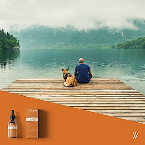 2024 Everpath Upgraded Respiratory Support for Dogs - 2 Fluid Ounces/60mls | Made in The USA | Boosts Immune Support & Healthy Breathing | Enhances Respiratory Function | Natural Solution for Pets