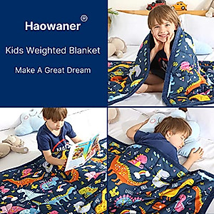 HAOWANER Minky Toddler Weighted Blanket 3lbs, Soft Baby Weighted Blanket for Toddler, Kids Weighted Blanket 3 Pounds, 3lb Weighted Blanket for Toddler, Crib Weighted Baby Blanket for Child, Dinosaur