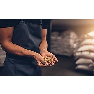 1000+ Non-GMO Citronella Plant Seeds for Planting - Heirloom Citronella Carpet Creeping Grass Seeds Planting Garden Home (Made in The US)