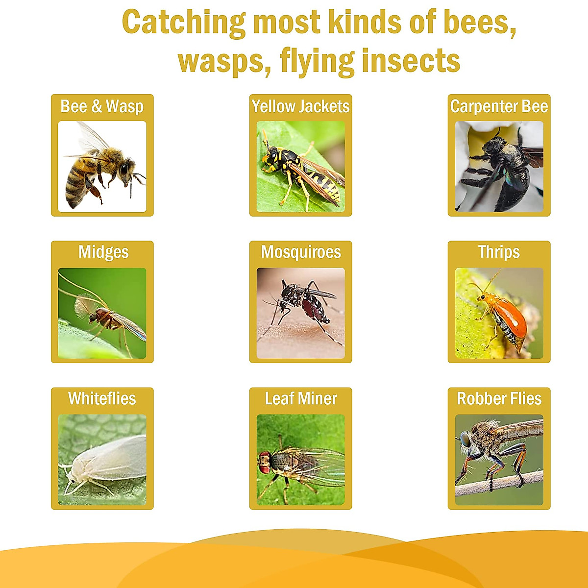 4 Pack Wasp Trap, Hornet Trap Outdoor, Bee Catcher for Outside, Yellow Jacket Killer Hanging, Fly Insect Killer, Yellow & Orange & Green & Blue