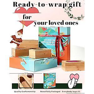 KUNABOO Bamboo Storage Bags Organizer, 5 Boxes Set Drawer Organizer for Plastic Storage Bags and Foil Plastic Wrap Cutter Dispenser (FSC Certified eco-Friendly Bamboo), Sandwich Bag Organizer