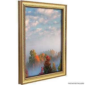 Craig Frames 314GD 16 x 20 Inch Picture Frame, Ornate Gold, Set of 2