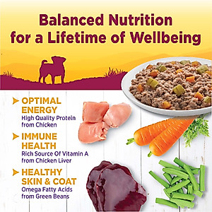 Wellness Petite Entrées Casserole with Tender Chicken, Green Beans & Carrots, 3-Ounce Cup (Pack of 12)