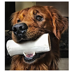 MPP Stuffed Peanut Butter 6 Inch Shin Dog Bones Refillable Nutritious Dental Chew (5 Bones)