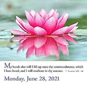 365 Bible Verses-A-Year Page-A-Day Calendar 2021