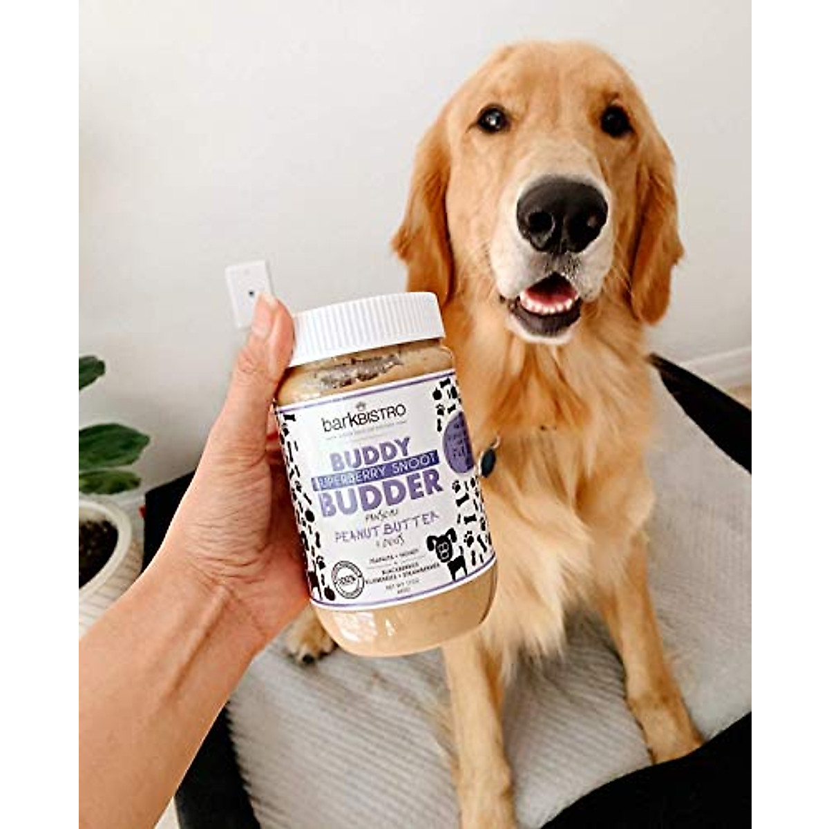 BUDDY BUDDER Bark Bistro Company, Superberry Snoot + Barkin Banana + Pumpkin Pup, 100% Natural Dog Peanut Butter, Healthy Dog Treats - Made in USA (Set of 3 / 17oz)