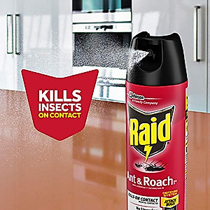 Raid Ant & Roach Killer Spray For Listed Bugs, Keeps Killing for Weeks, Fresh Scent, 17.5 oz