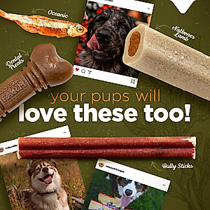 Natural Farm Real Fish Dried Fish Dog Treats- Dried Anchovies- Natural Dried Fish Dog Treats- Sustainably Sourced Fish,1 Ingredient - Anchovies, Collagen, Omega 3,Vitamin B&D for a Shiny Coat