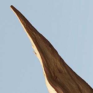 Hugo Boss BOTTLED TONIC Eau de Toilette, 1.6 Fl Oz