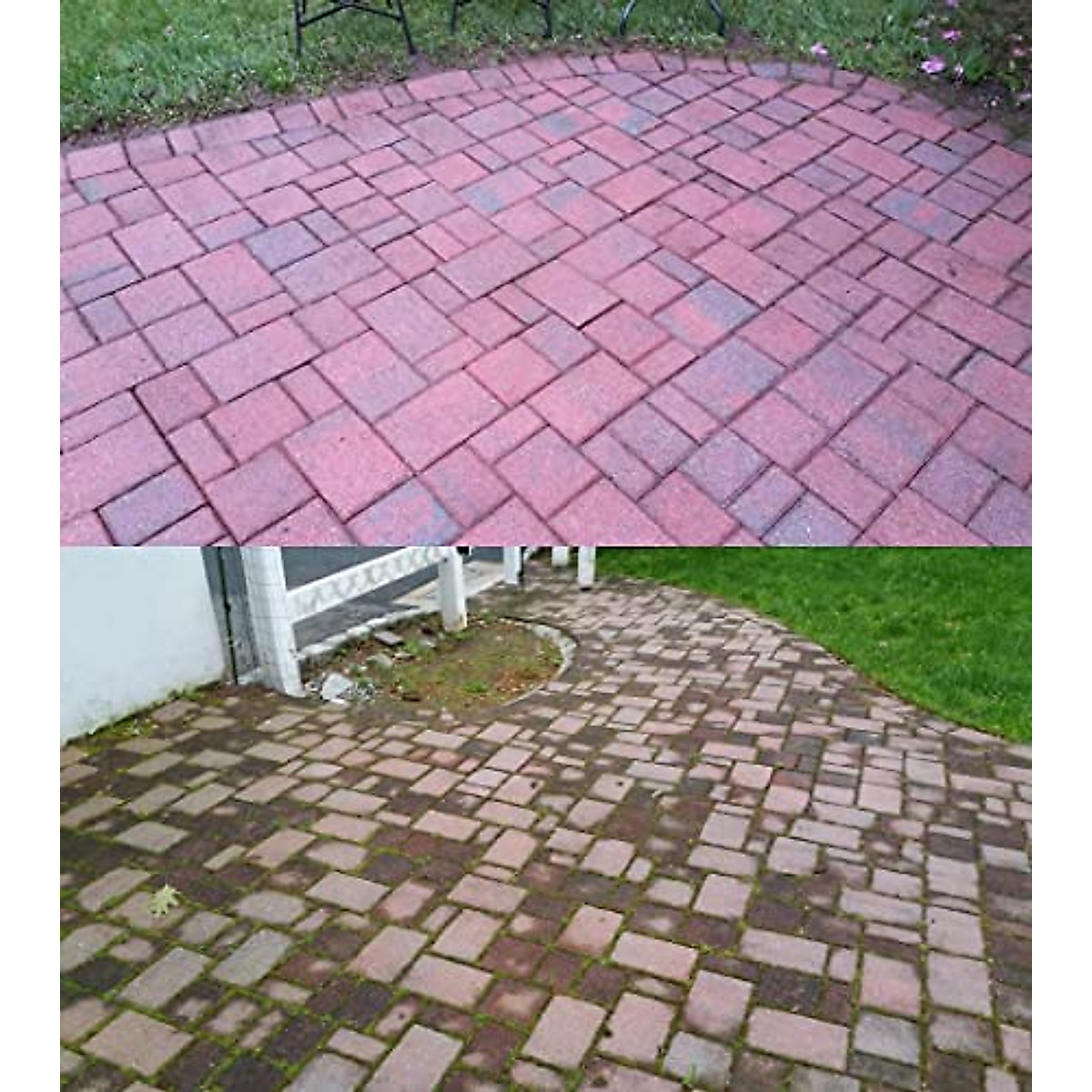 PowRyte Electric Pressure Washer with Hose Reel, Foam Cannon, 4 Different Pressure Tips, Power Washer, 3900 PSI 2.4 GPM