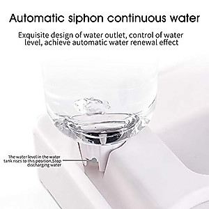 Bibabala Automatic Pet Feeder and Water Dispenser, 2 in 1 Feeder Bowl with Water Bottle Detachable, Fit for Small Dogs and Cats Kitten Puppy Rabbit Bunny(White)