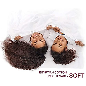 MD Home Decore Queen Size Sheet Set 4-Piece-Set 100% Egyptian Cotton Sheets 600 Thread Count Bed-Sheet-Set 16 Inch Deep Pocket of Fitted Sheet (Queen, White Solid)