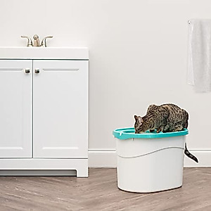 IRIS USA Oval Top Entry Cat Litter Box with Scoop, Kitty Litter Tray with Litter Catching Lid Less Tracking Dog Proof and Privacy Large, White/Seafoam