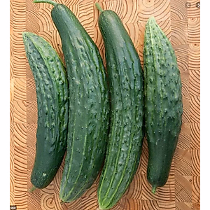 "Green Dragon" Cucumber Seeds for Planting, 50+ Heirloom Seeds Per Packet, (Isla's Garden Seeds), Non GMO Seeds, Botanical Name: Cucumis sativus, 90% Germination Rate