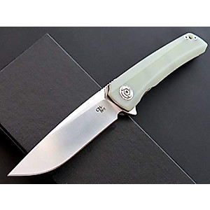 Eafegrow CH3002-G10 Folding Camping Knives 3.7 inch D2 Blade and G10 Handle Pocket Knives Outdoor Hunting Knife Tactical Folding Knives (jade)