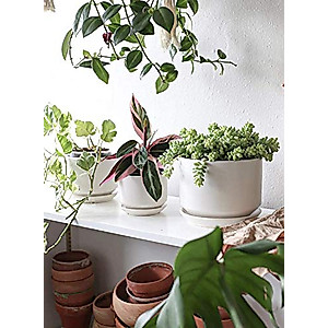 LE TAUCI Ceramic Plant Pots, 4.3+5.3+6.8 inch, Set of 3, Planters with Drainage Hole and Saucer, Indoor Flower Pot with Hole Mesh Pad, Gifts for Mom, White