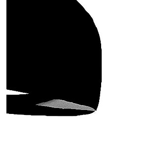 Bondi Band None Faster Than The Speed of Turtles Black, One Size