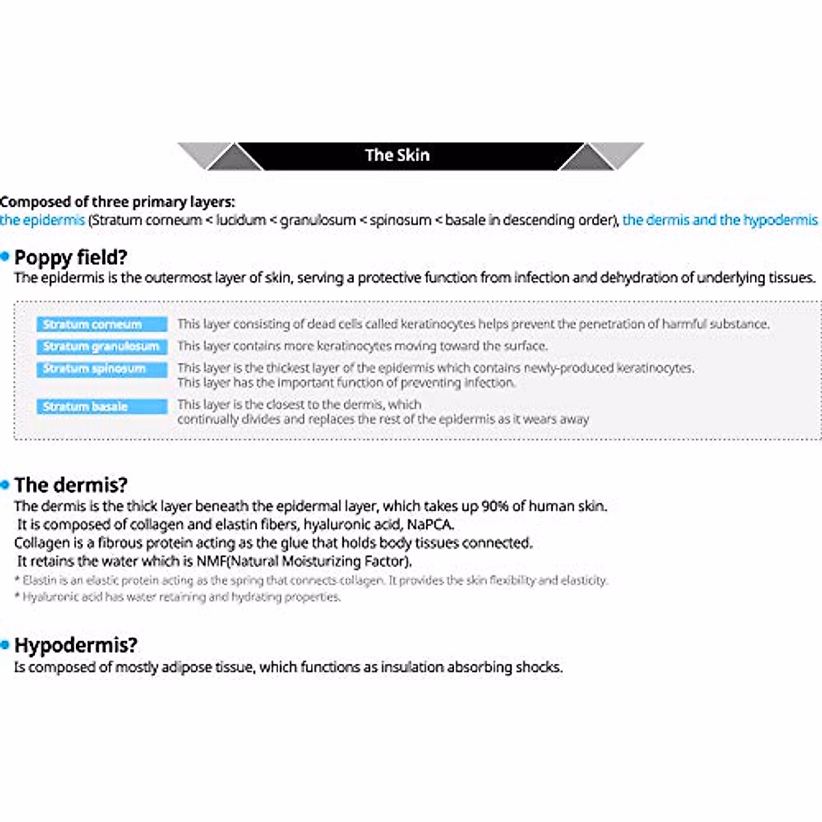 Atomy BB Cream - Skin Moisturizer for Face [Set of 2]