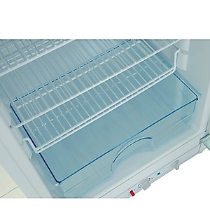 Superior Propane LP Gas Off-Grid Refrigerator 10 Cu Ft 2-Way (LP/110V)