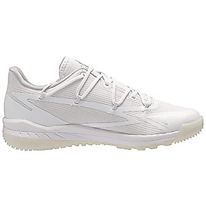 adidas Men's Adizero Afterburner 8 Turf Baseball Shoe, White/Silver Metallic/Team Light Grey, 10.5