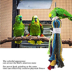 Parrot Colorful Preening Grooming Ropes Bird Chewing Toys Rope Toy Natural Cotton Cage Accessories for Amazons African Grey Cockatoos Conure Lovebird Lory