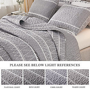 Andency Grey Quilt Set Queen (90x96 Inch), 3 Pieces(1 Striped Triangle Printed Quilt and 2 Pillowcases), Bohemian Summer Lightweight Reversible Microfiber Bedspread Coverlet Sets