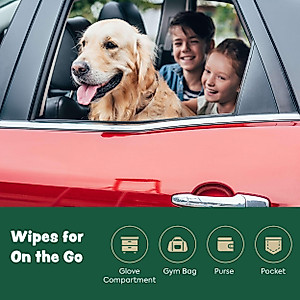 Dog Wipes for Cleaning and Deodorizing - 8.5" x 9" Bamboo Pet Wipes - Compostable, Hypoallergenic Puppy Wipes - Dog Wipes for Paws, Butt, and Body (110 Wipes (1 Pack of 110))