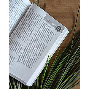 NLT Life Recovery Bible, Second Edition, Personal Size (Softcover): Addiction Bible Tied to 12 Steps of Recovery for Help with Drugs, Alcohol, Personal Struggles - With Meeting Guide