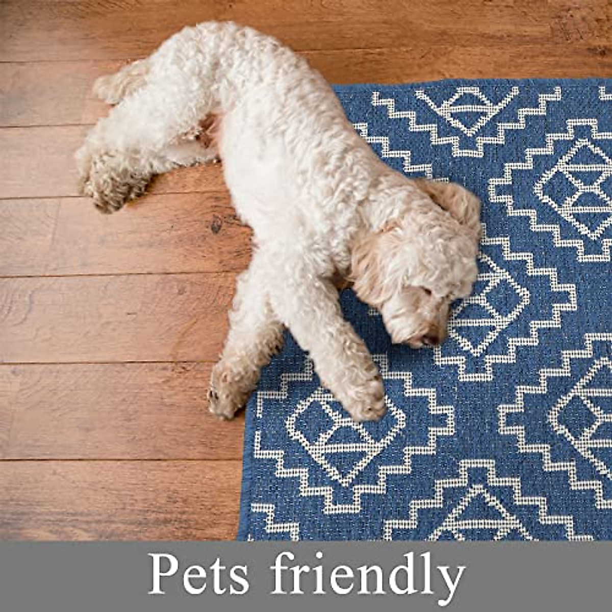U'Artlines Indoor Outdoor Area Rugs Aztec Boho Chic Non-Shedding Large Floor Mat and Rug for Outdoors, RV, Patio, Backyard, Deck, Picnic, Beach, Trailer, Camping (4' x 6', Cream/Blue)
