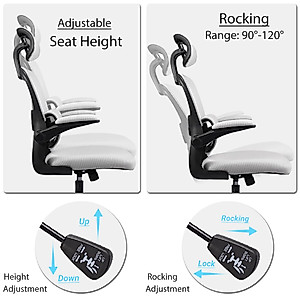 Ergonomic Office Chair Mesh Desk Chair Lumbar and Back Support Computer Chair with Adjustable Headrest Pillow 360 Swivel Casters and Flip-up Armrests for Home Office (Gray)