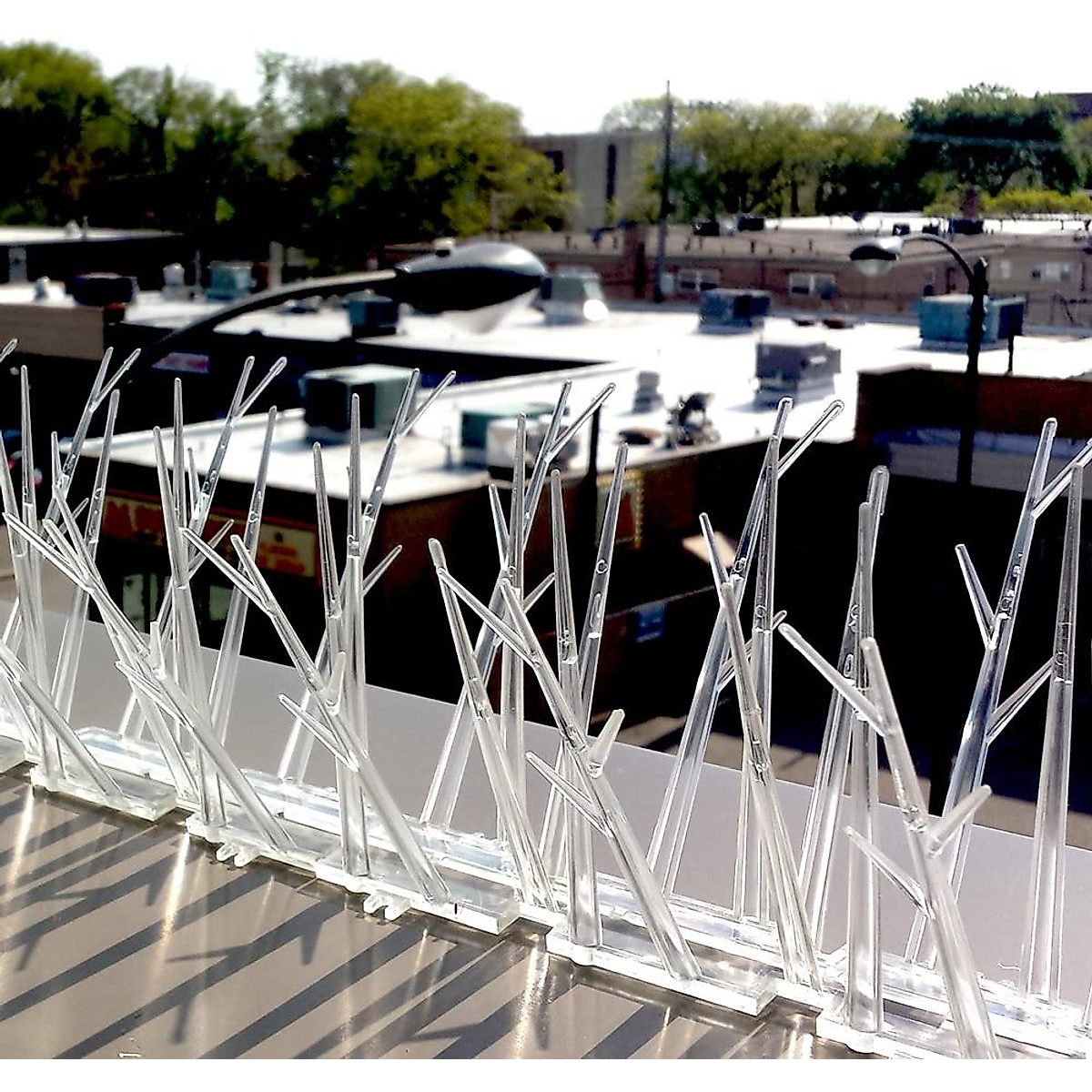 Bird-X, SP-10-NR Plastic Polycarbonate Bird Spikes Kit with Adhesive Glue, Covers 10 feet