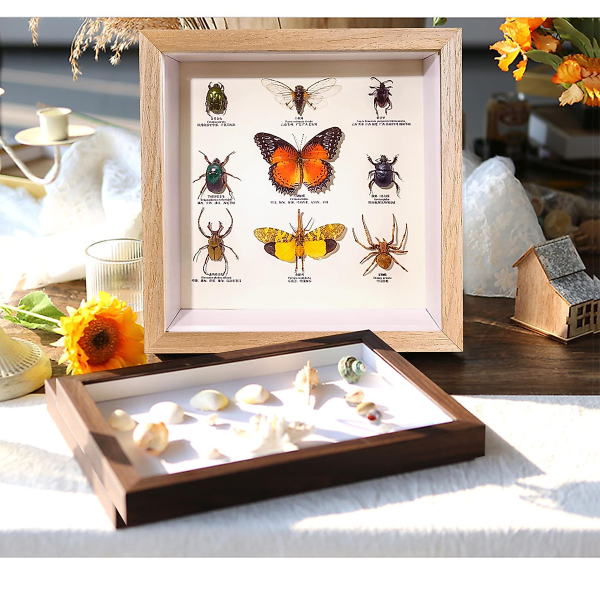 Dohomi 8x8 Shadow Box Frame Natural Wood Shadow Box Display Case 3 Pack Picture Frames Glass Surface Internal Depth 0.6 inch for Wall Or Tabletop