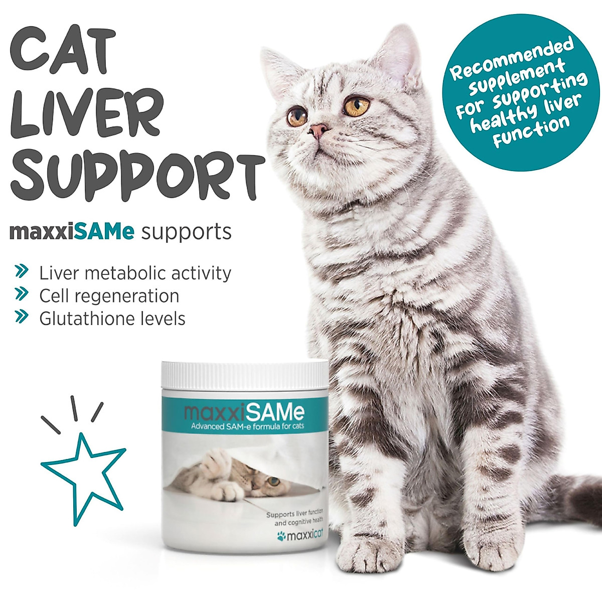maxxipaws maxxiSAMe Advanced SAM-e Powder Supplement - Liver, Cognitive & Joint Support for Cats, 3.2oz