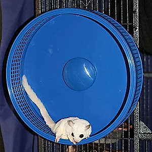 Silent Runner Pro | Sugar Glider Exercise Wheel (Black with Attachment)