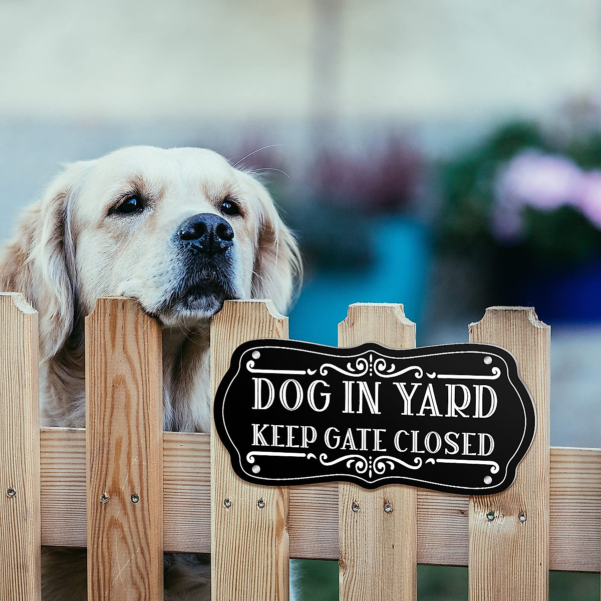 Moxweyeni 2 Pieces Dog Sign for Fence Beware of Warning Signs Metal Aluminum Funny Rustic Dog in Yard Keep Gate Closed Wall Door Sign