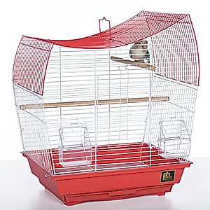 Prevue Pet Products South Beach Wave Top Bird Cage, Coral (Model: SP50110)